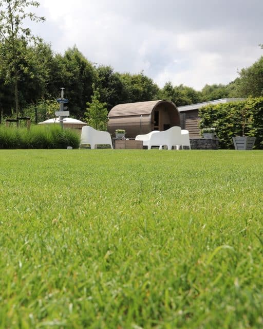 Grassoorten en rassen - Advanta
