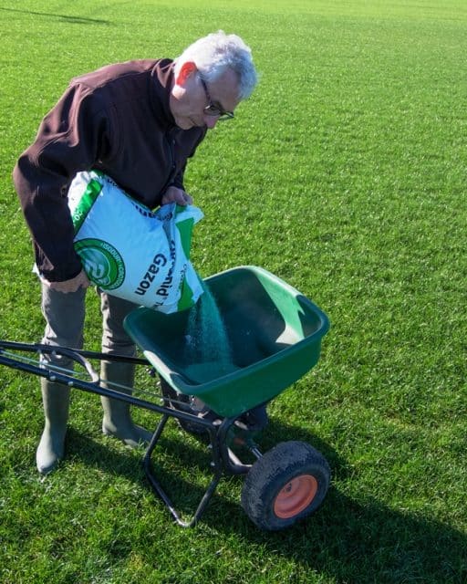 Hanenpoot in het gazon - Advanta